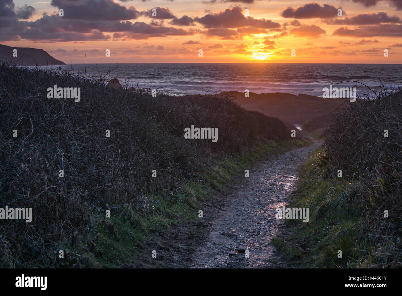 Pathway down to Cornish beach at sunset Stock Photo - Alamy