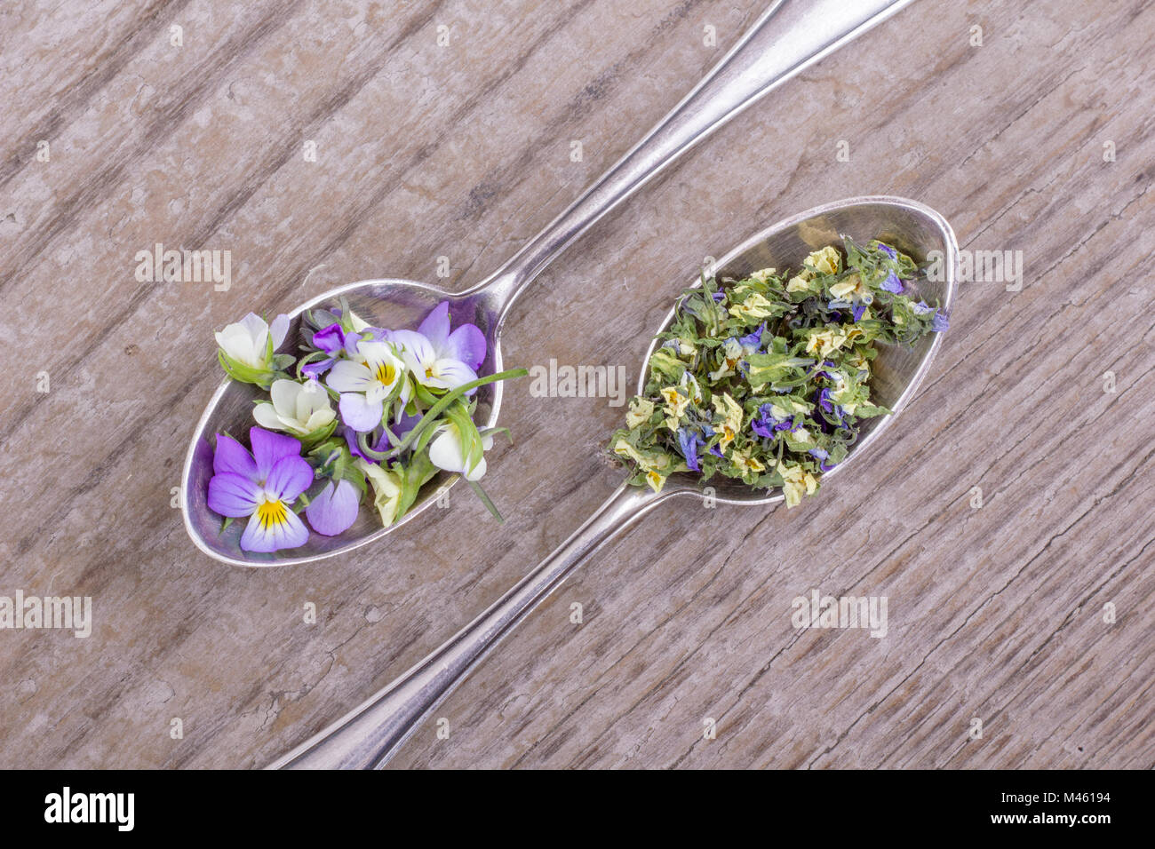 Top view on two silver teaspoons with fresh and dried flowers from ...