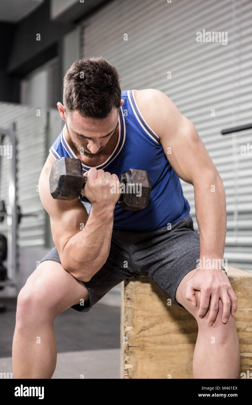 Muscular man lifting dumbbell on wooden block Stock Photo - Alamy