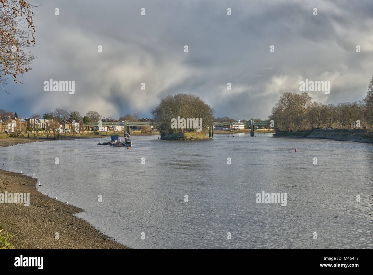 river thames at chiswick Stock Photo - Alamy