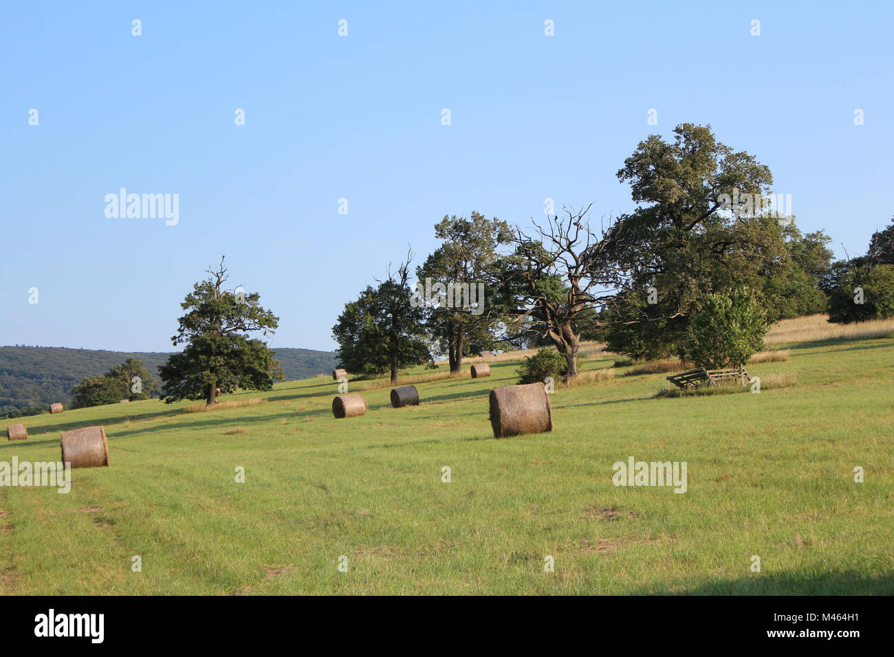 heystack on the field Stock Photo - Alamy