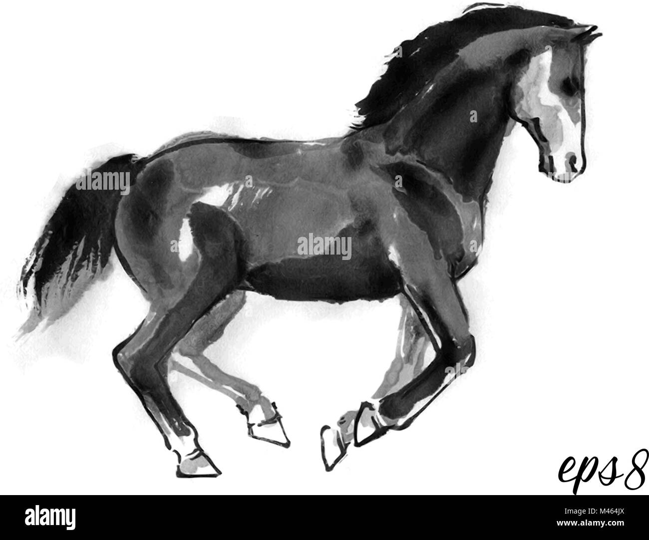 Indian ink horse Black and White Stock Photos & Images - Alamy