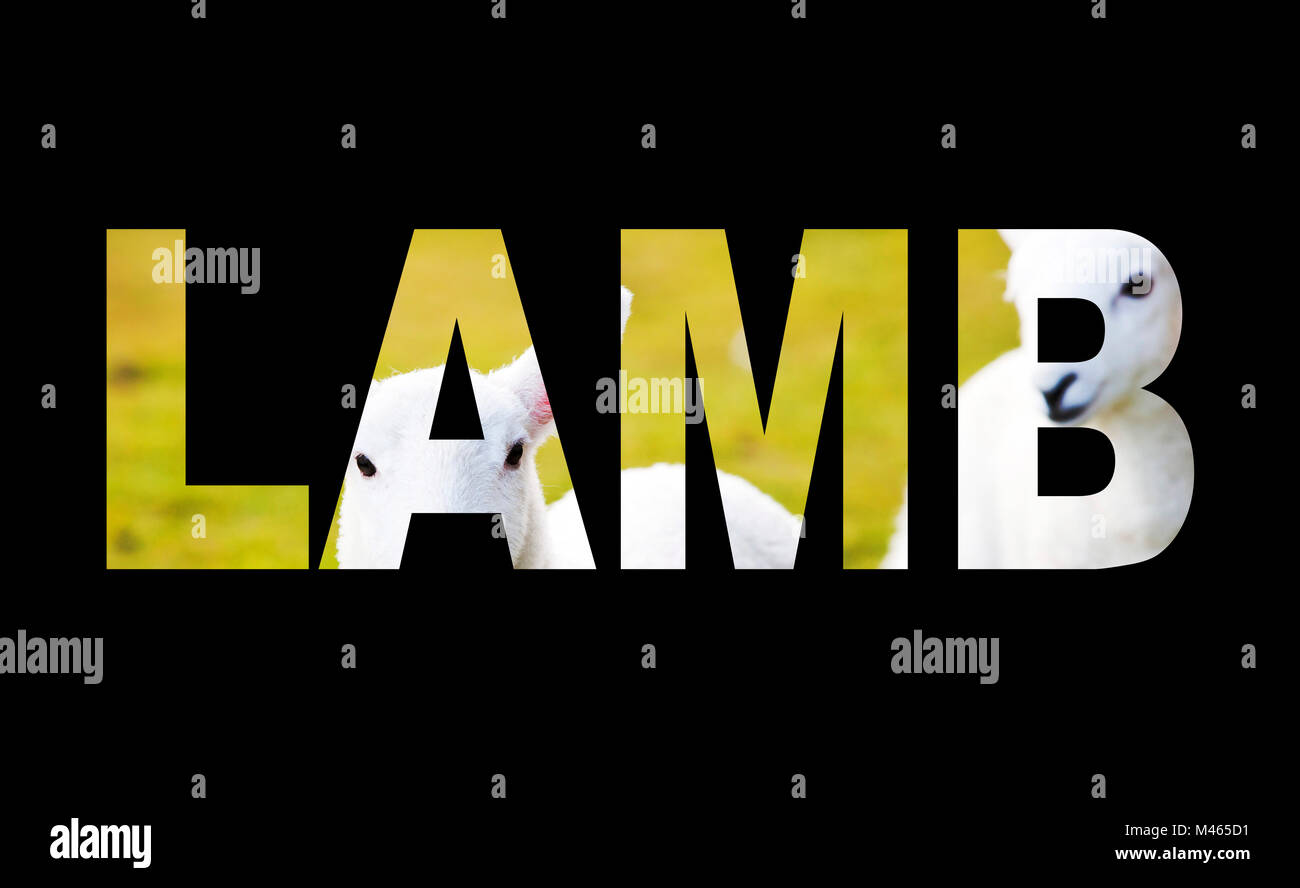 Lamb word hi-res stock photography and images - Alamy