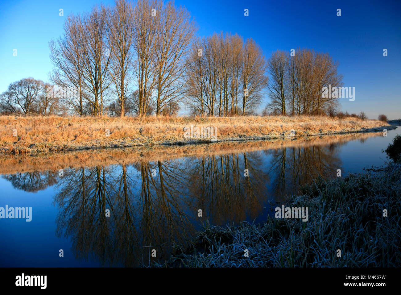 Winter frost, River Welland, Peakirk village, Cambridgeshire, England ...