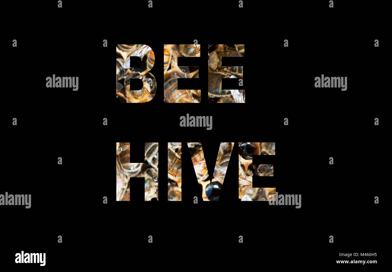 Bee hive cut out hi-res stock photography and images - Alamy