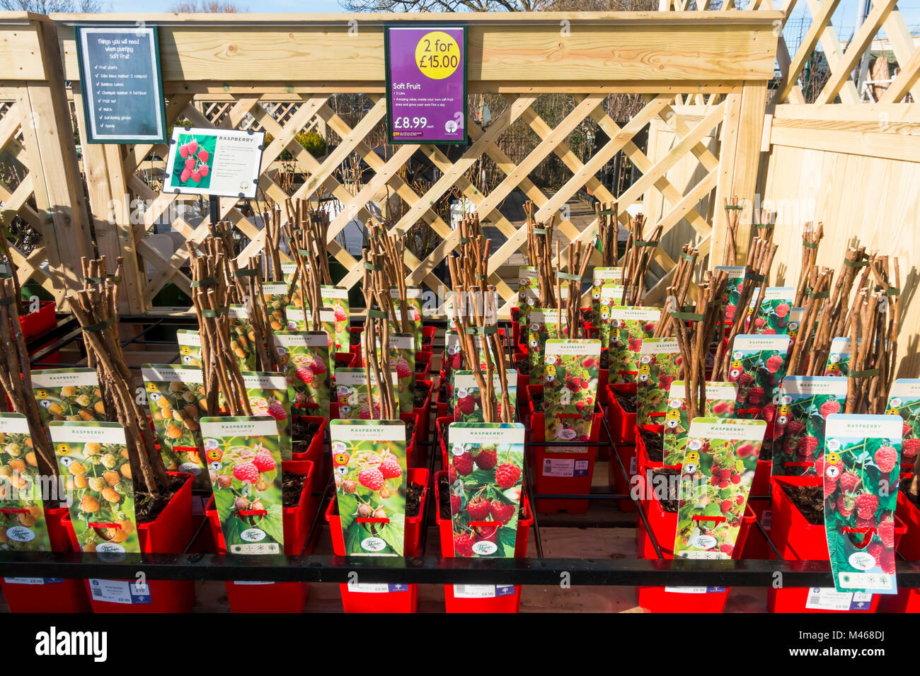 Fruit nursery hi-res stock photography and images - Alamy