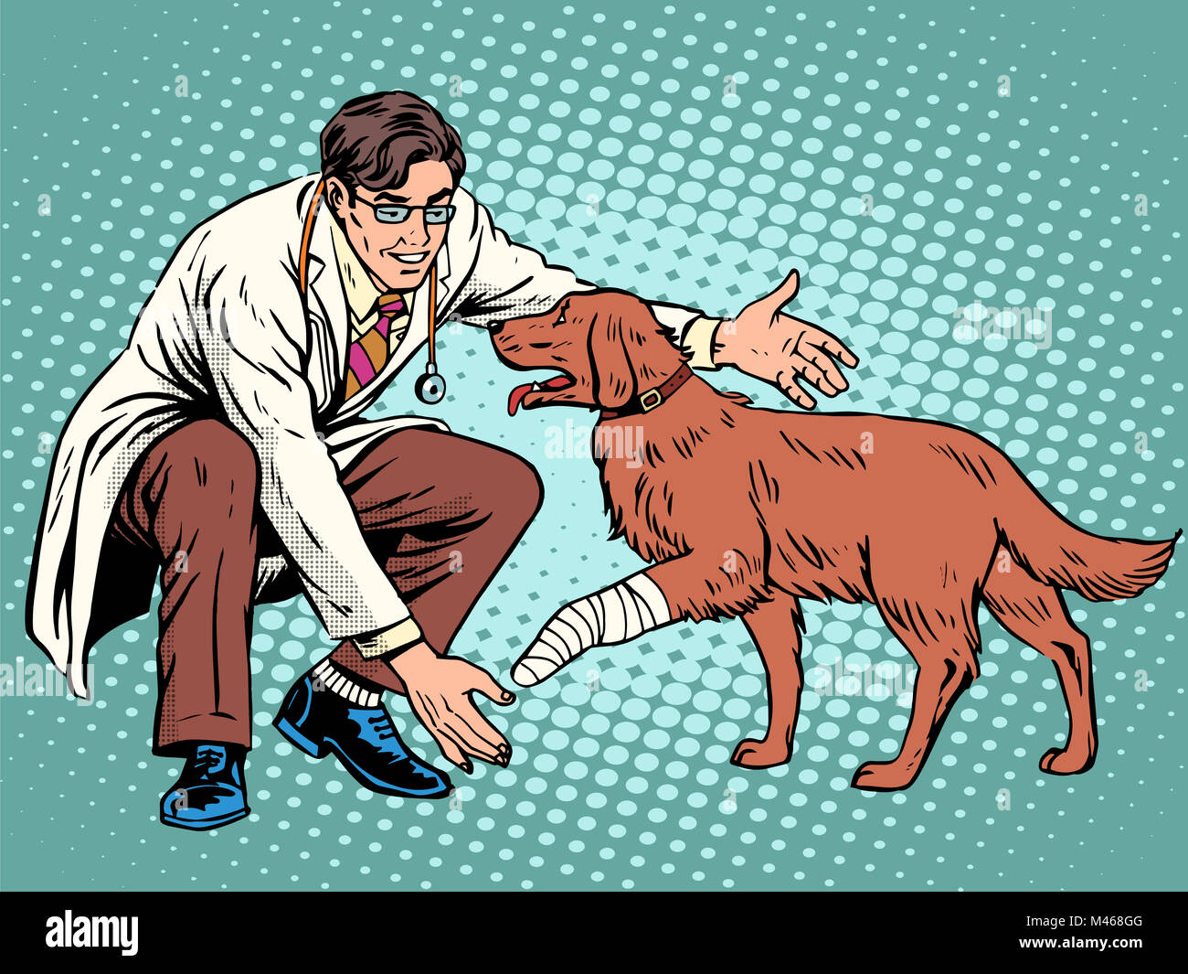 vet dog wounded paw Stock Photo - Alamy