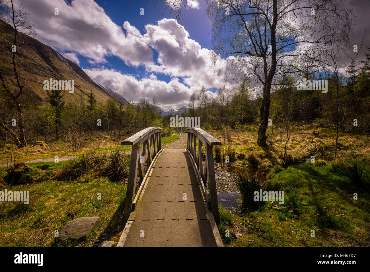 Footbridge on a path in the Ben Nevis Range Stock Photo - Alamy