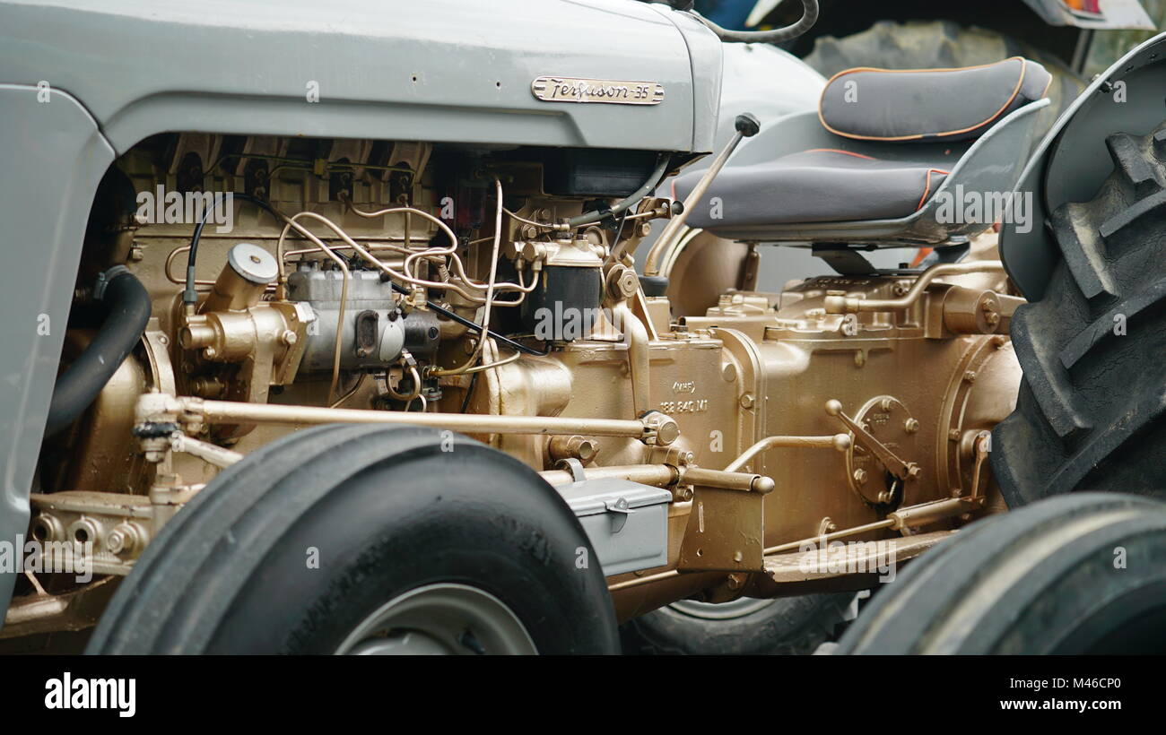 Cardigan Classic Car Show Stock Photo - Alamy