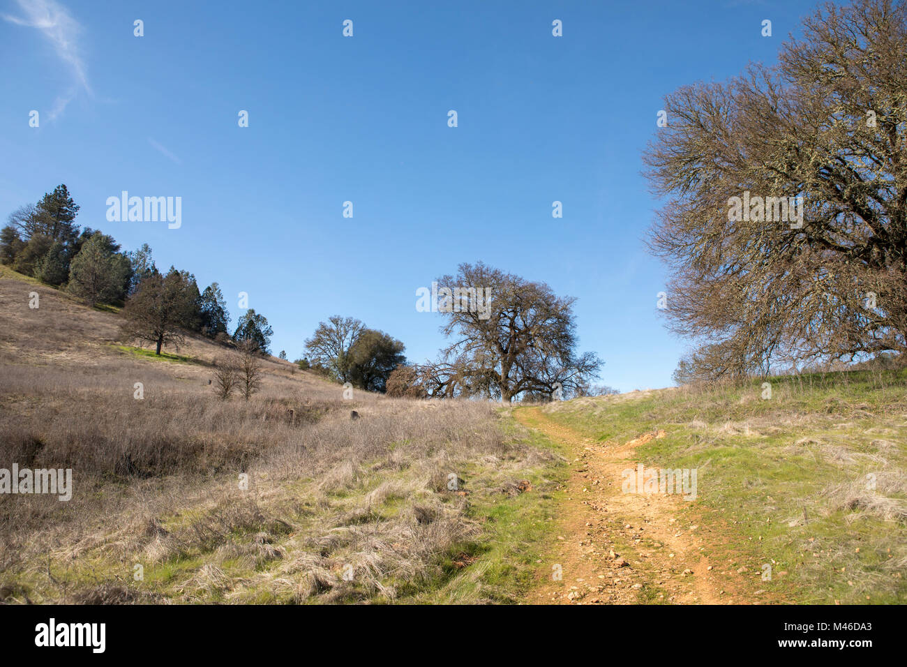 Dotted with trees hi-res stock photography and images - Alamy