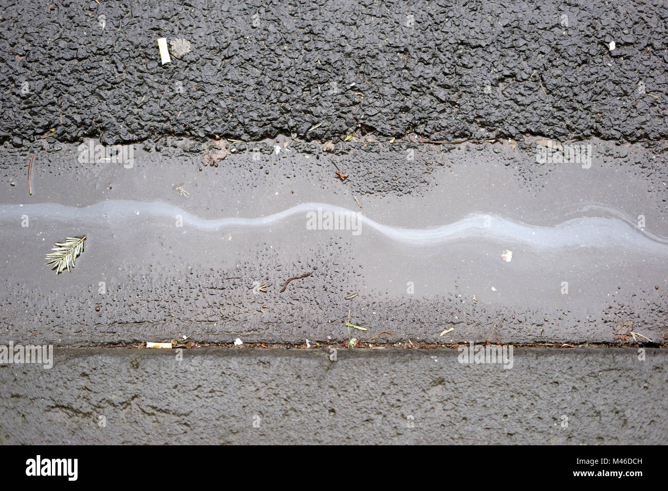 An oil film or oil trail on the wet asphalt of a road Stock Photo - Alamy