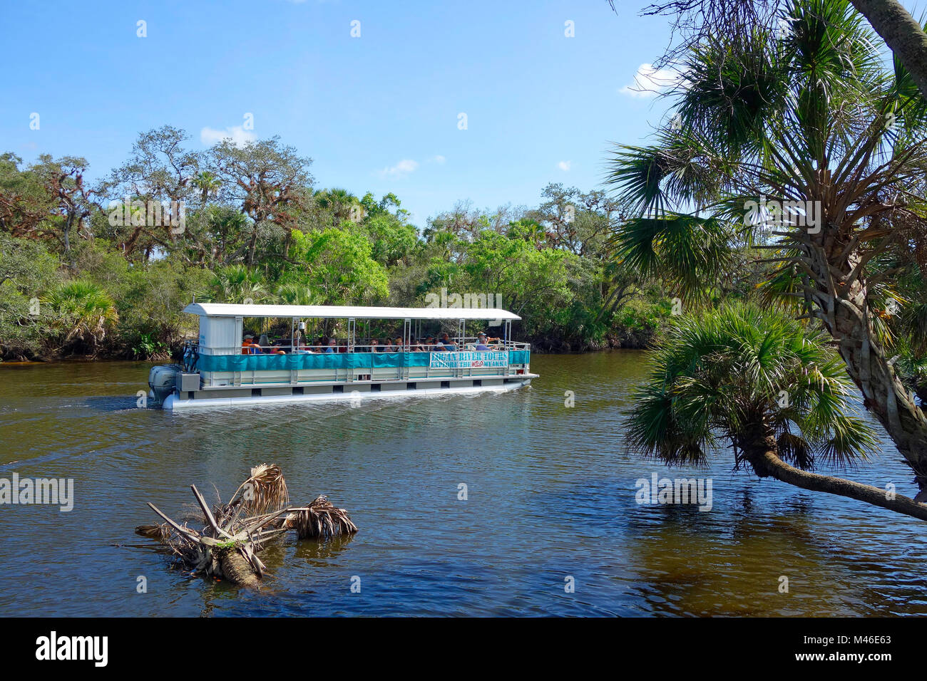 Myakka river hi-res stock photography and images - Alamy