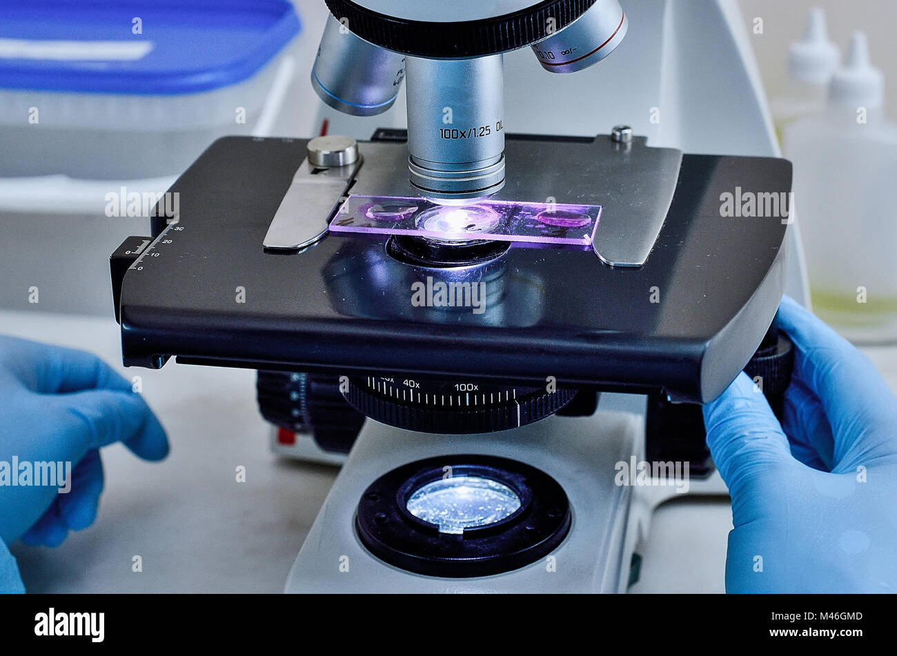 Microscope. Microbiological laboratory. Mold and fungal cultures. Bacterial research ...