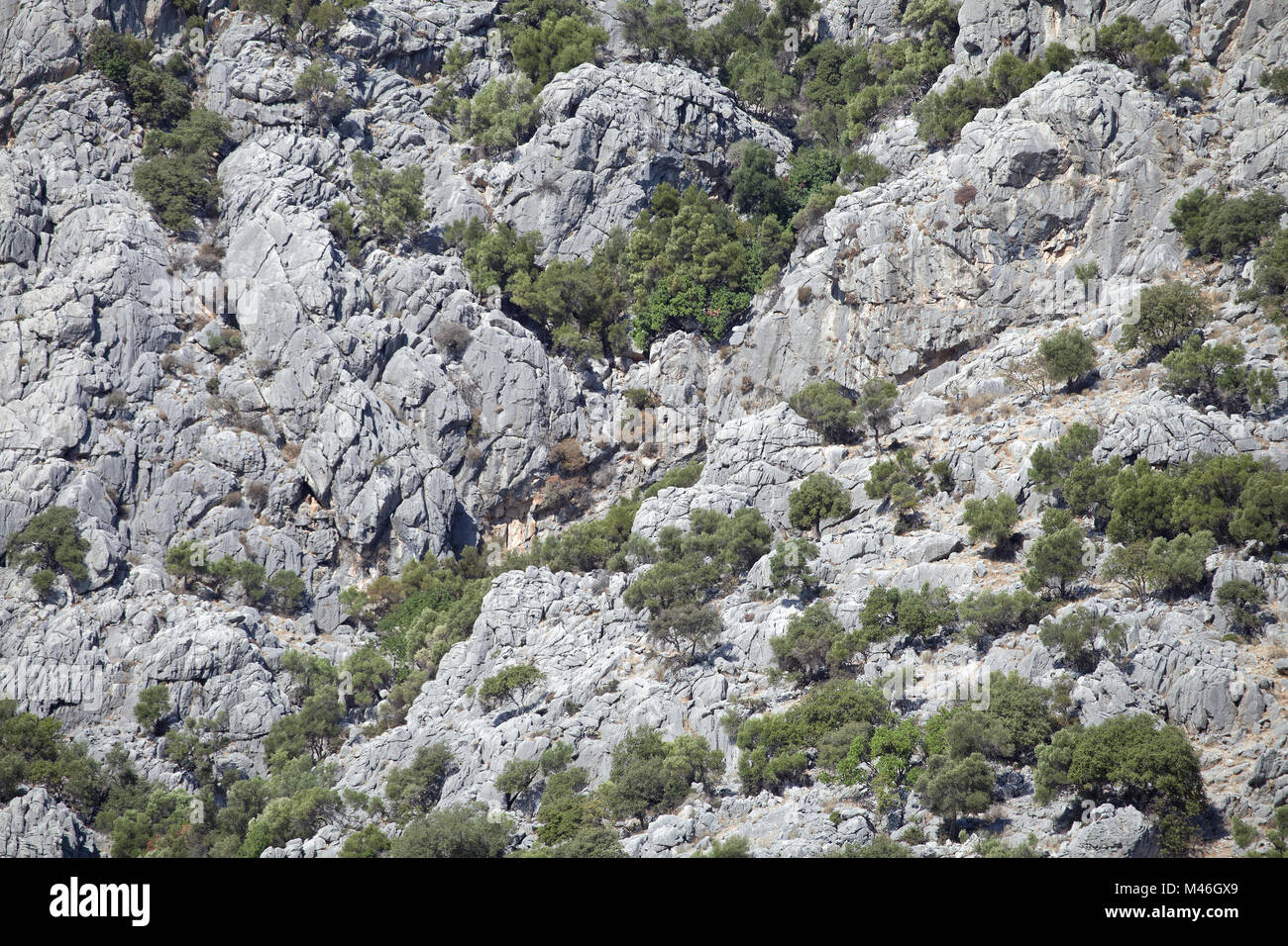 Vertical cliff wall Stock Photo - Alamy