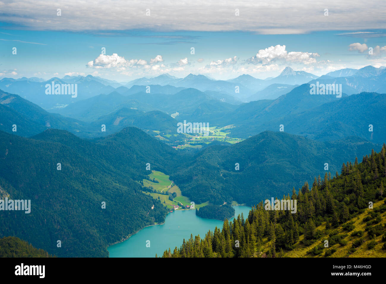 Wooded slope hi-res stock photography and images - Alamy