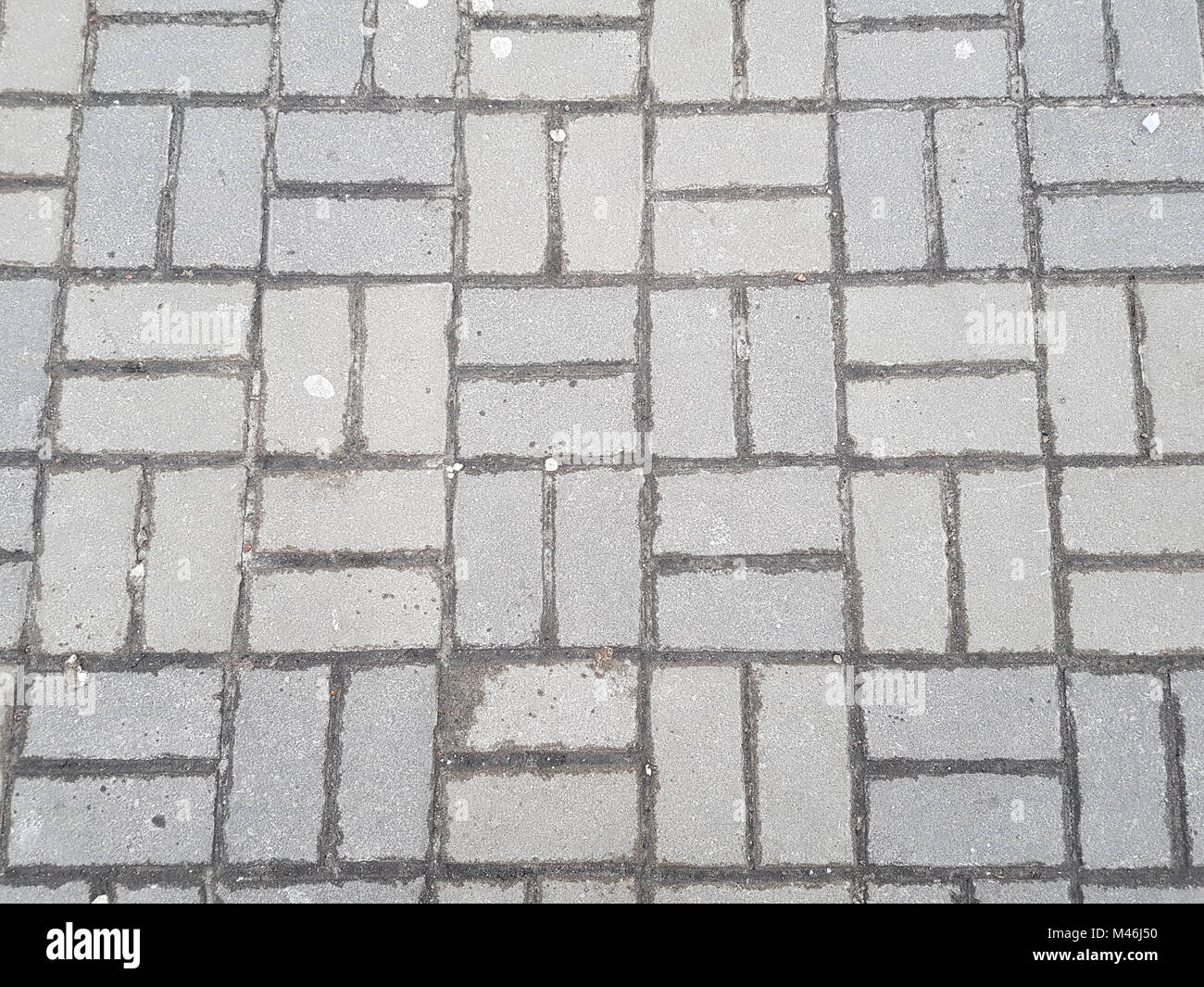 Gray paving slab square with cross and longitudinal strips, the texture ...