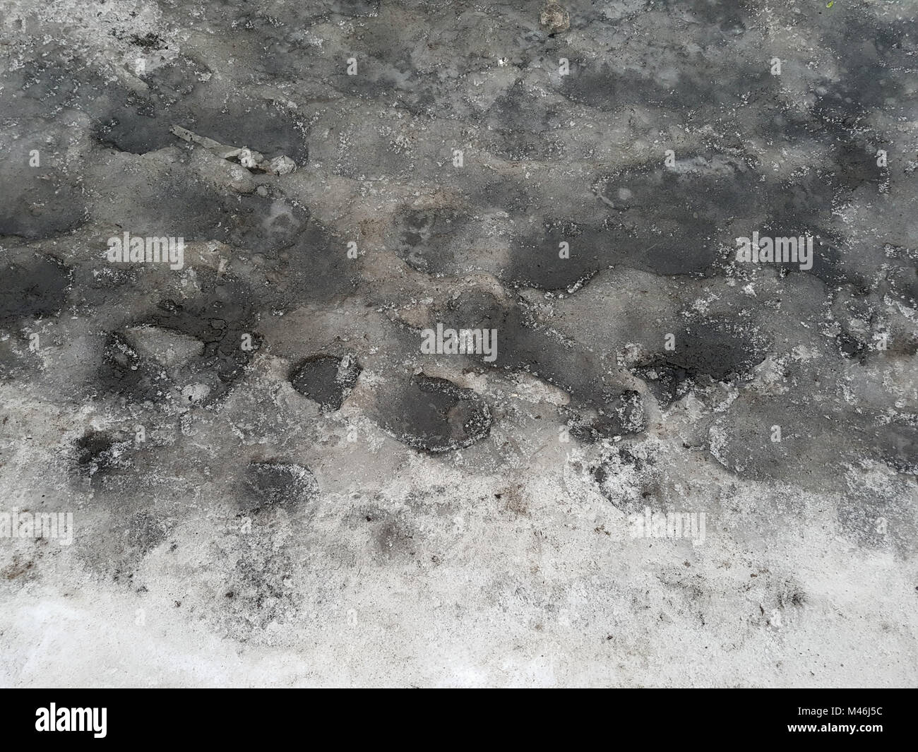 Dirty gray winter mud with numerous footprints, to the front strip of ...