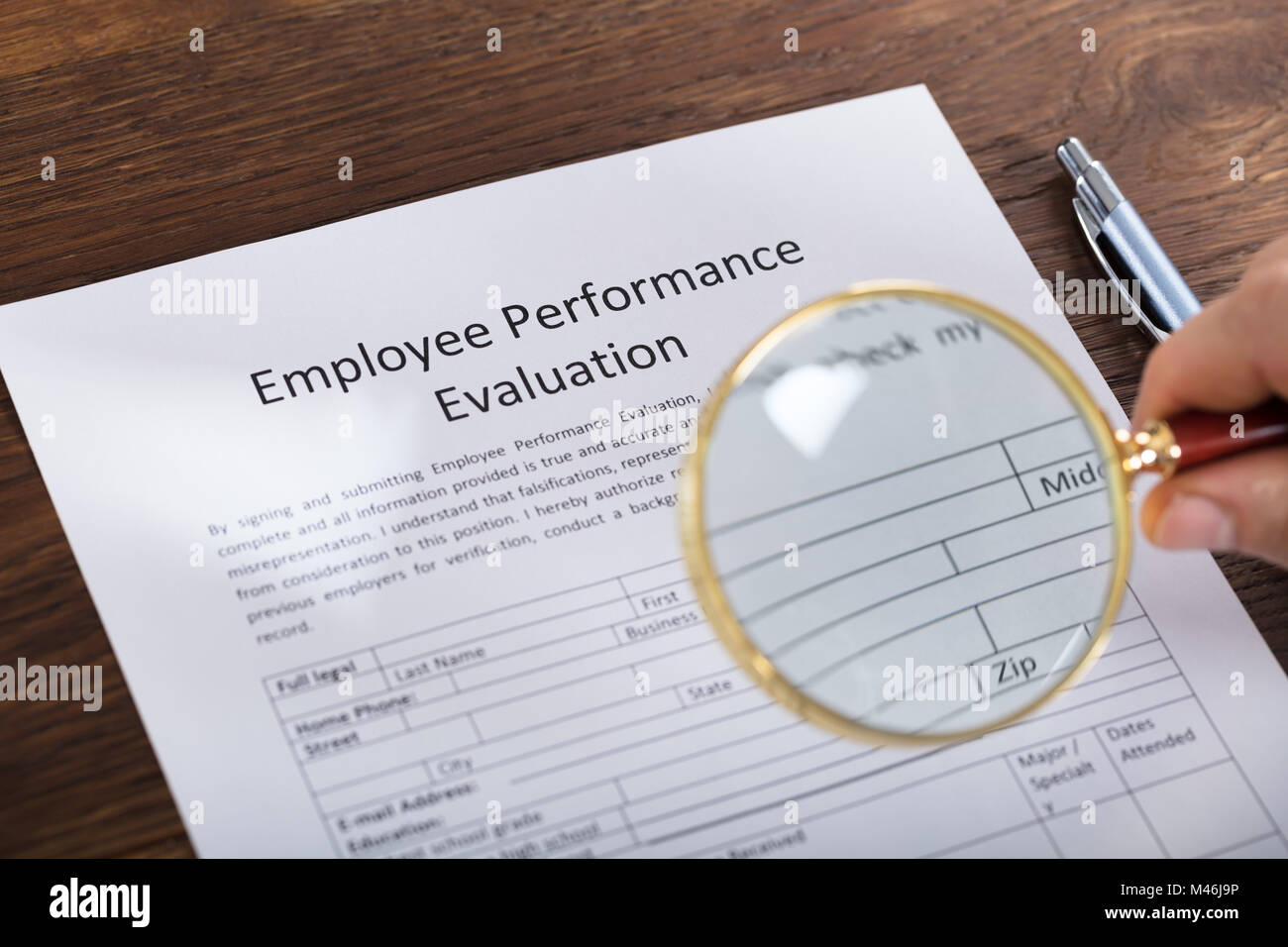 High Angle View Of A Person Analyzing Performance Evaluation Form Using ...