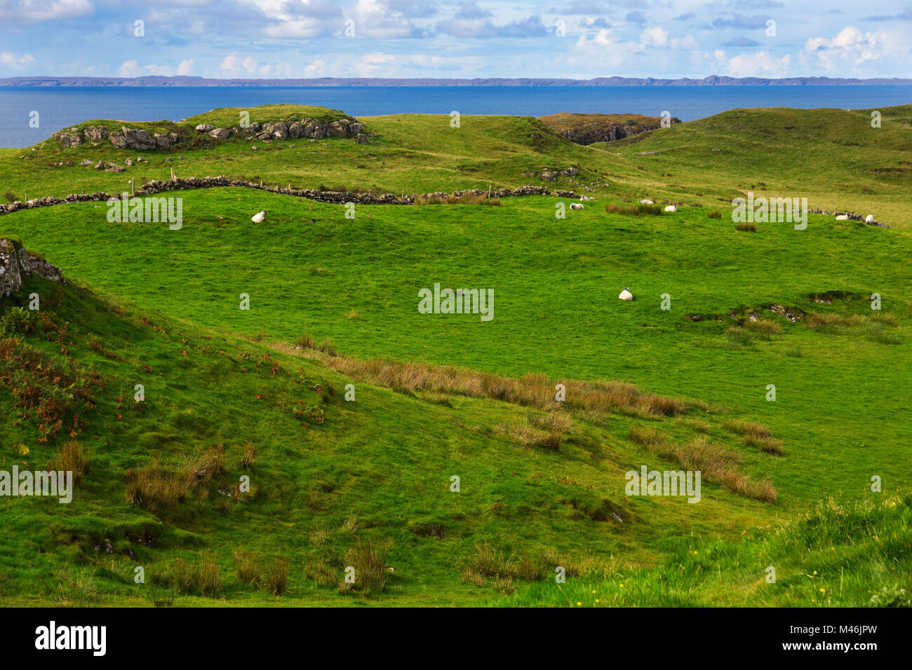 Scottish grasslands hi-res stock photography and images - Alamy