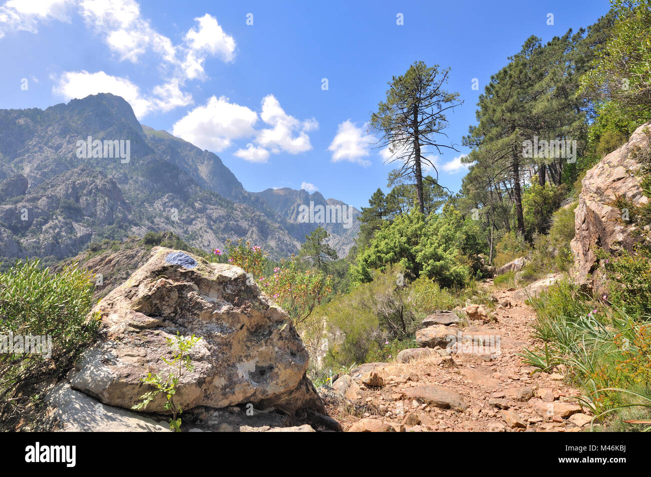 Footh path hi-res stock photography and images - Alamy