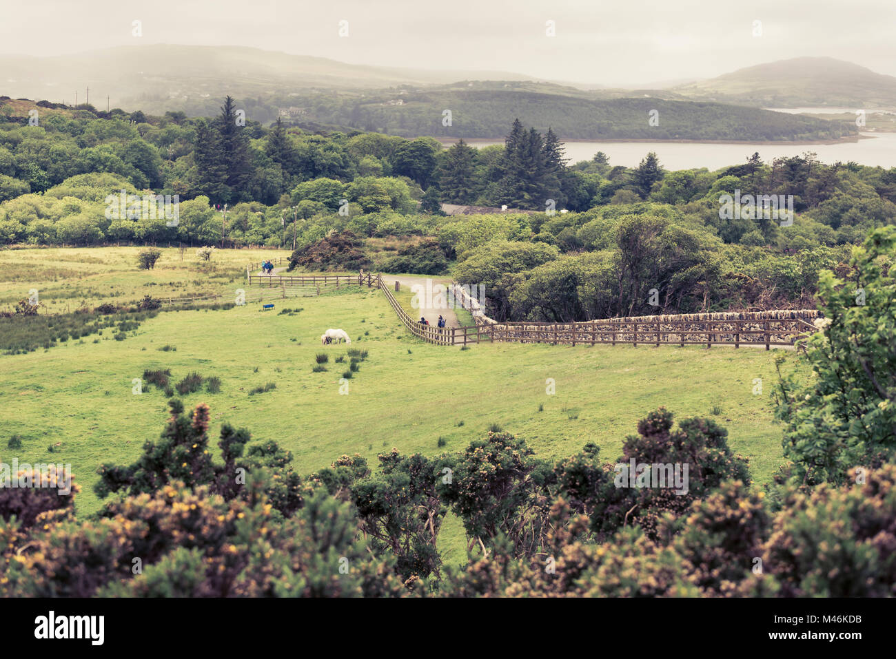 Letterfrack, Connemara National Park, Co. Galway, Ireland Stock Photo ...