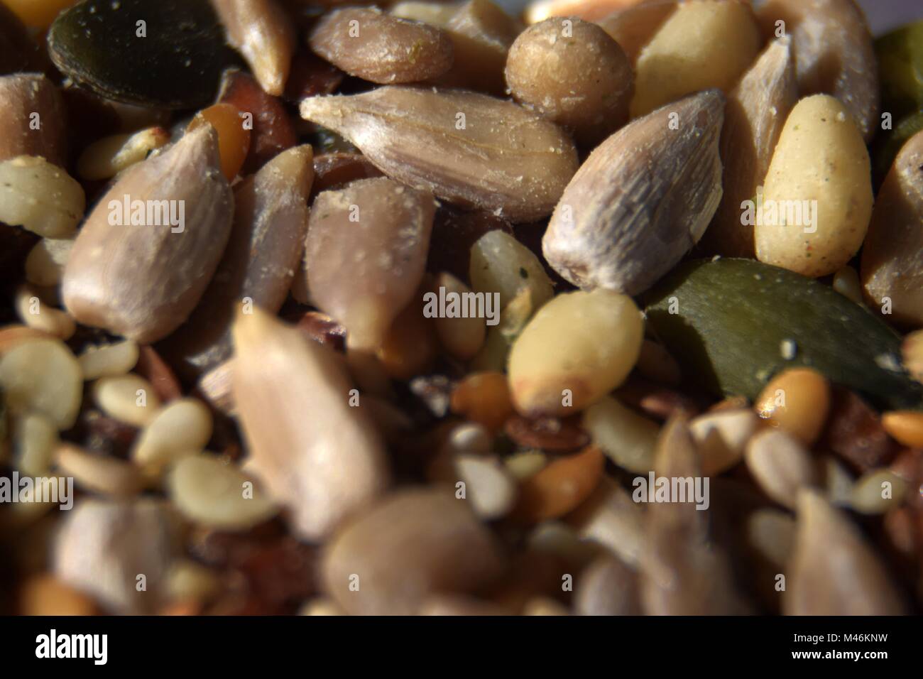 close-up composition of seeds Stock Photo - Alamy