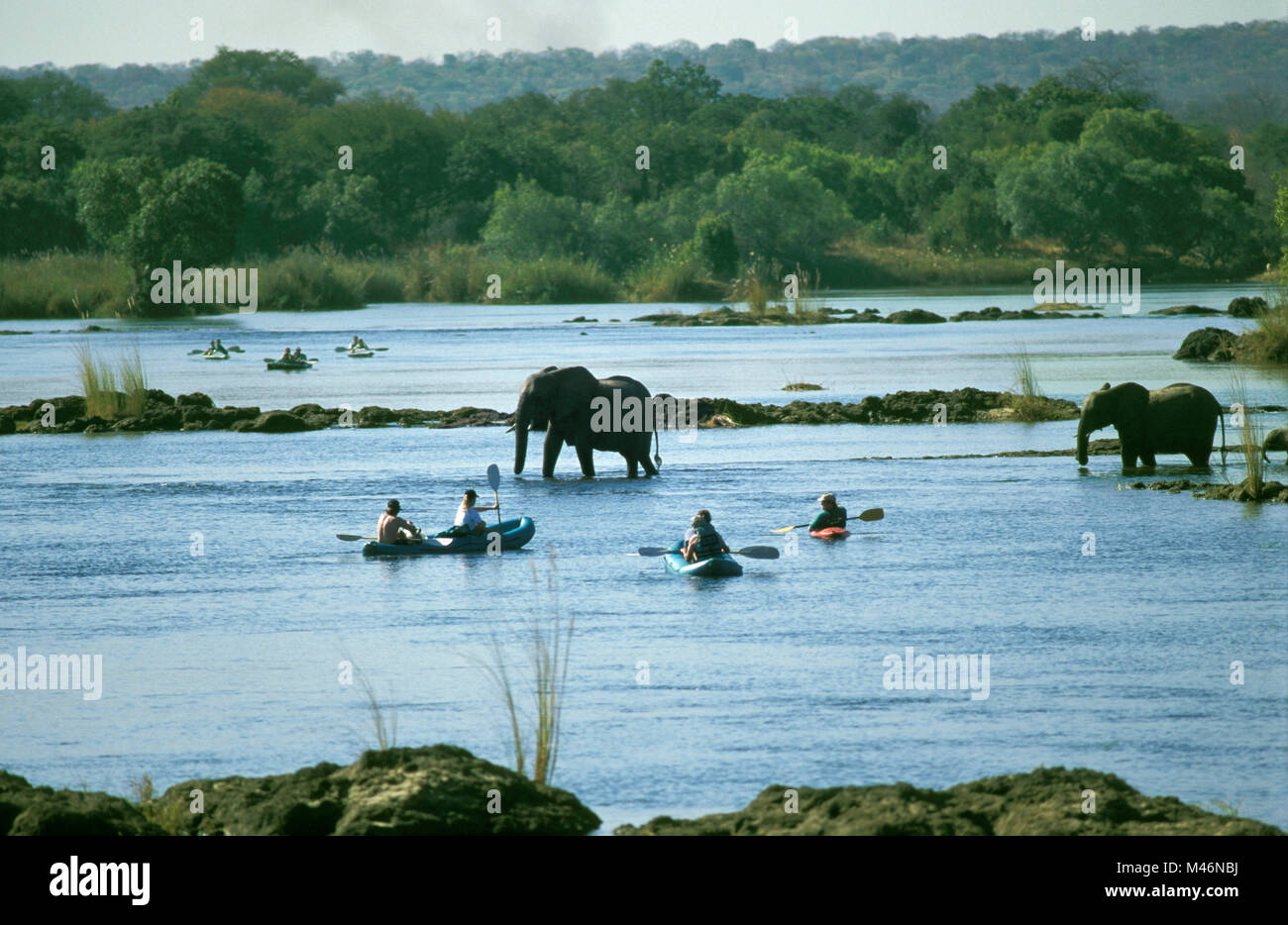 Kayaking and canoeing hi-res stock photography and images - Alamy