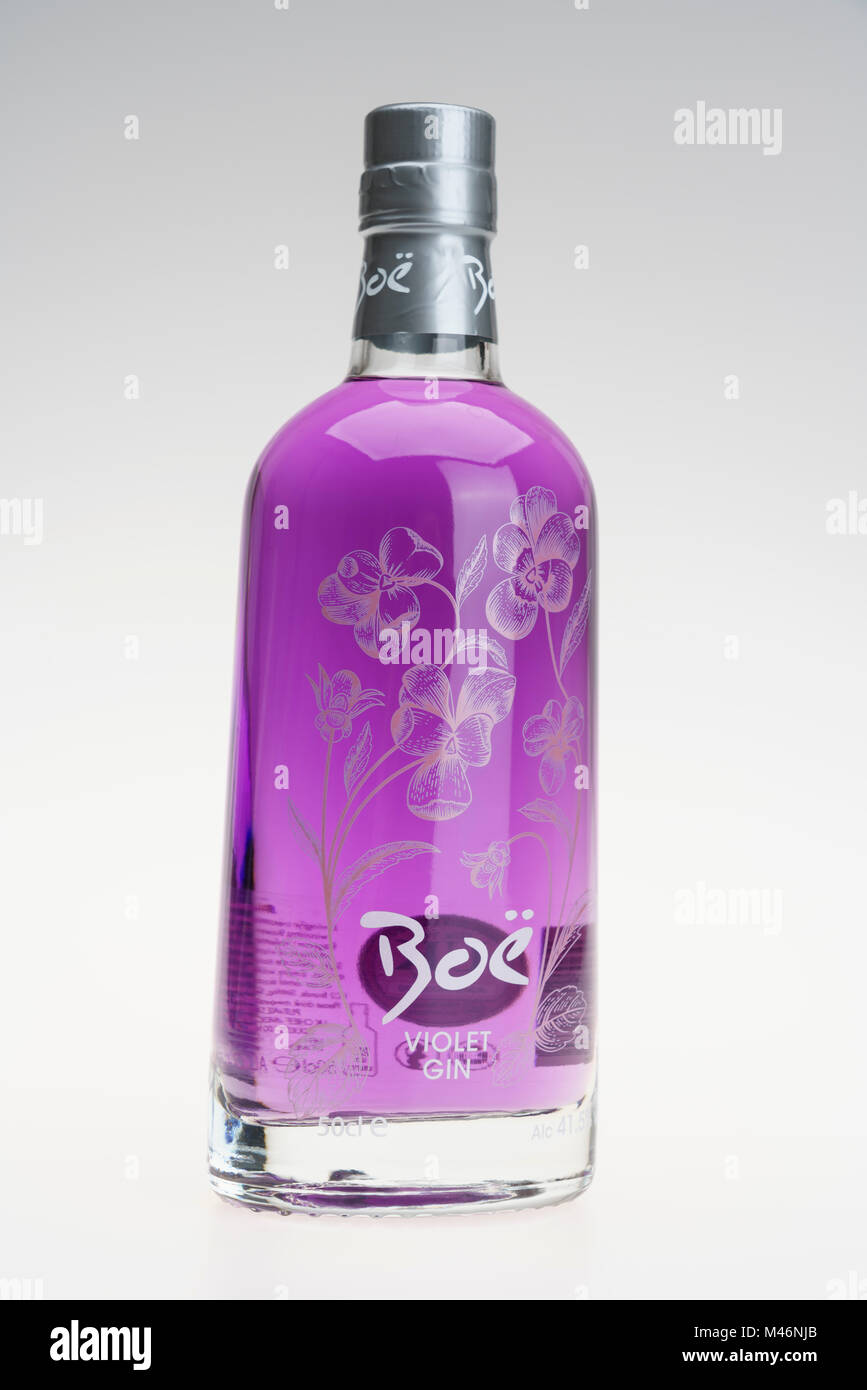 Violet flower branding hi-res stock photography and images - Alamy