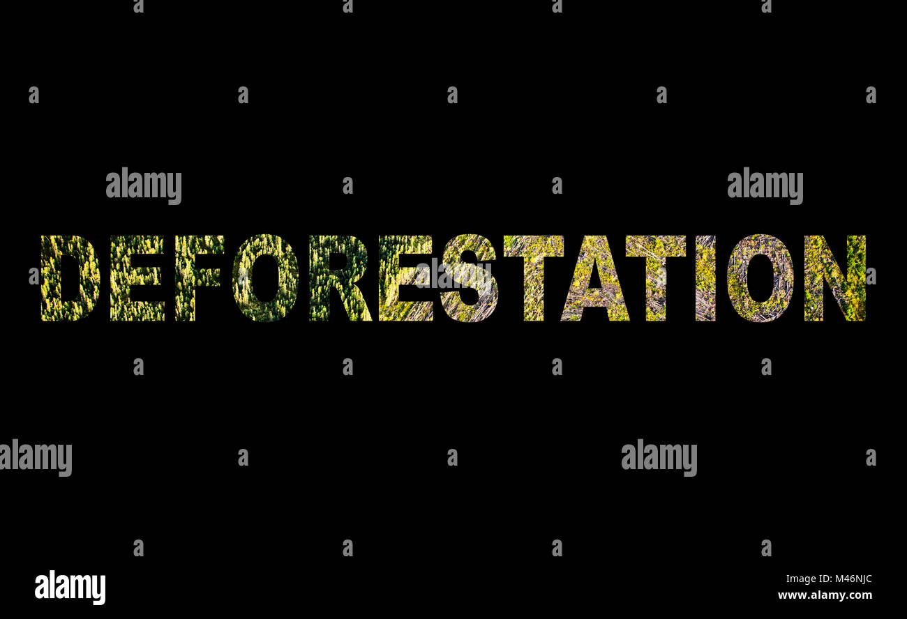 Deforestation word hi-res stock photography and images - Alamy