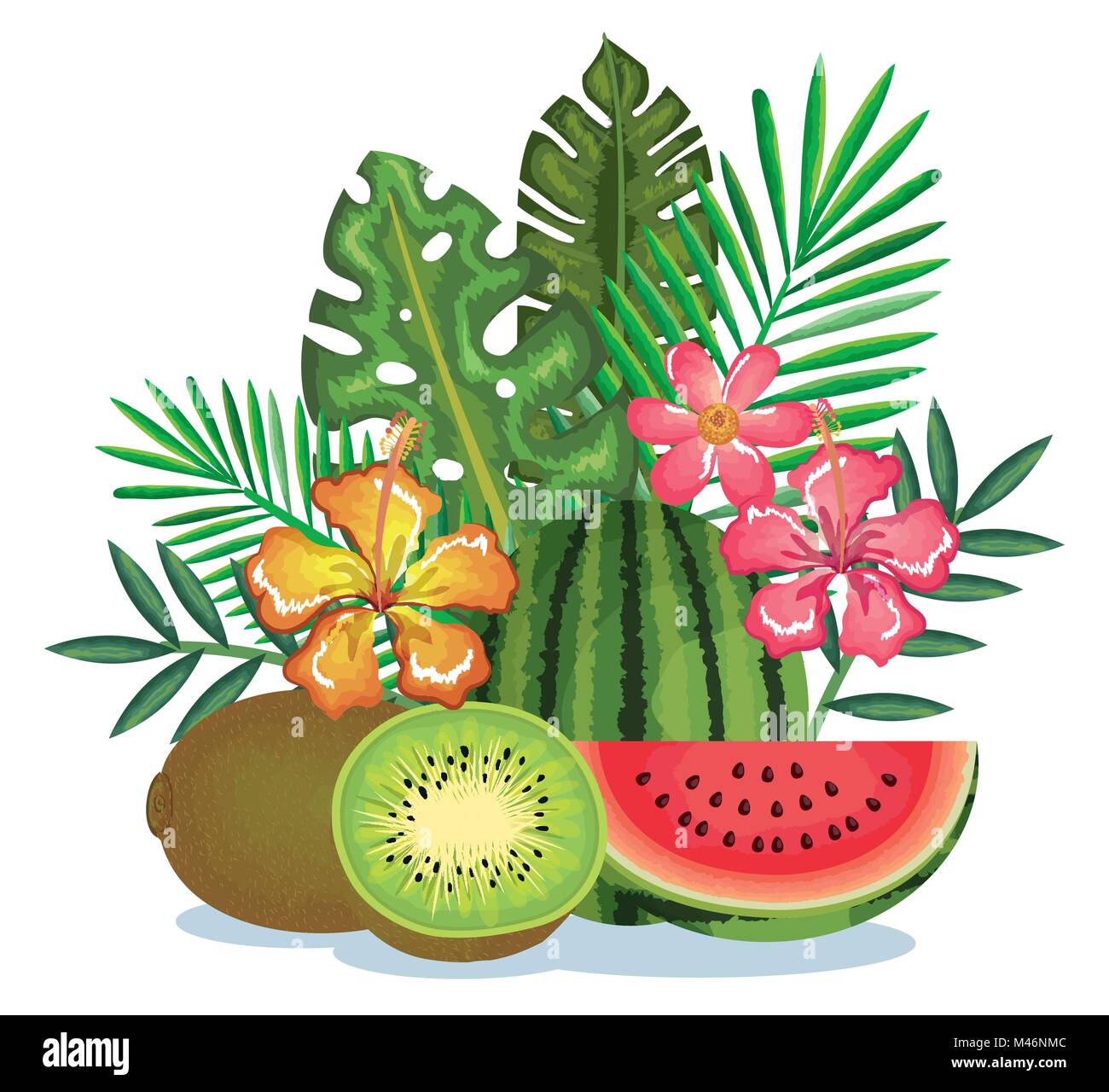 Watermelon Leaves Vector