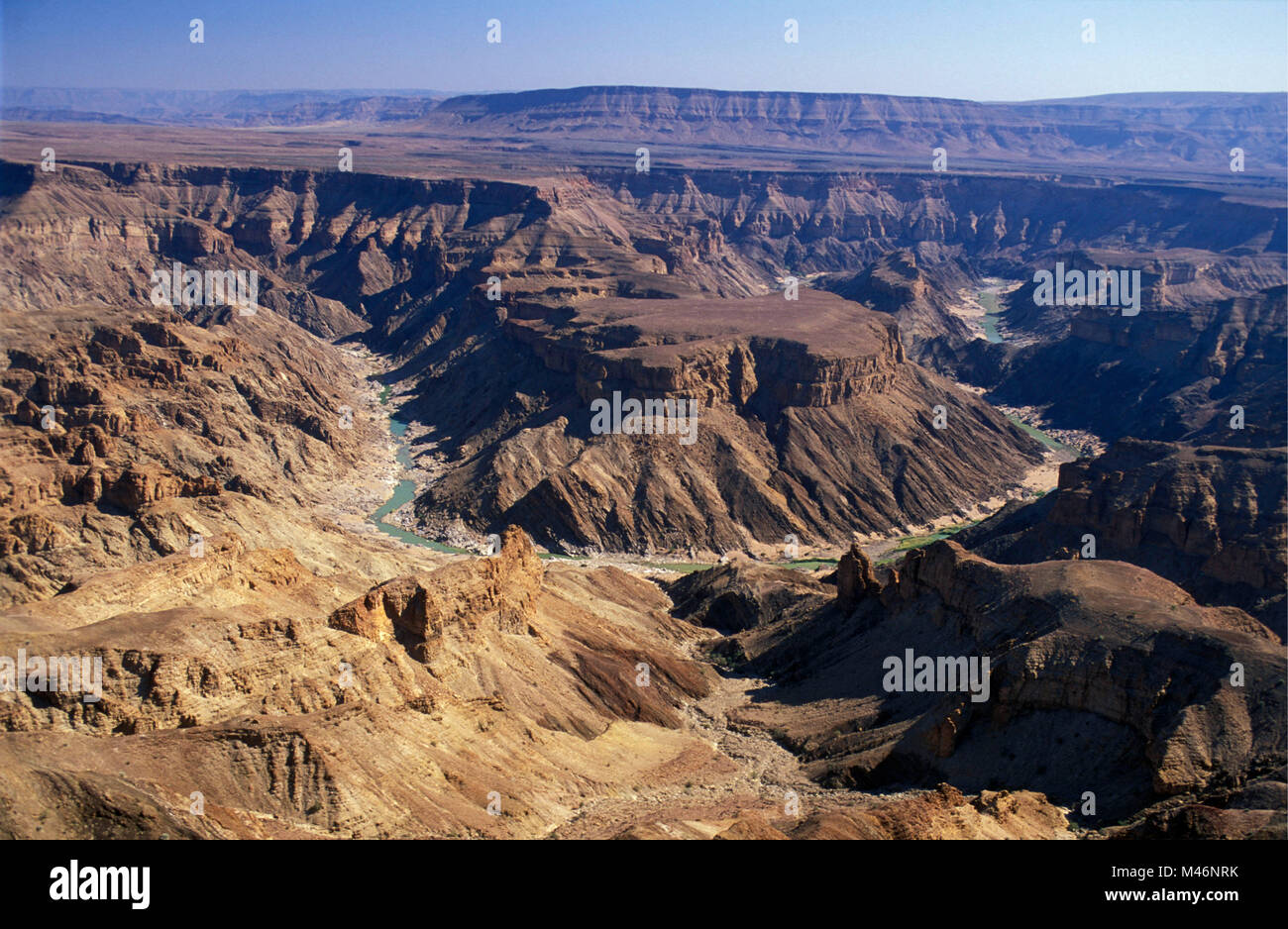 Desert fish hi-res stock photography and images - Alamy