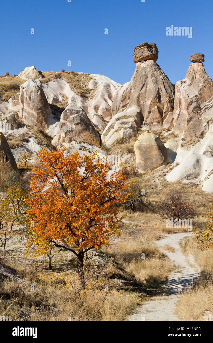 Volcanic rock formations and fairy chimneys in Cappadocia, Turkey Stock ...