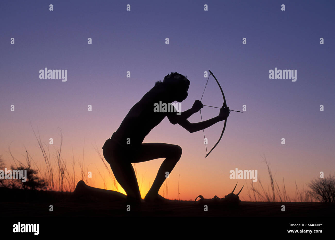 Kalahari bushman bow arrow hi-res stock photography and images - Alamy