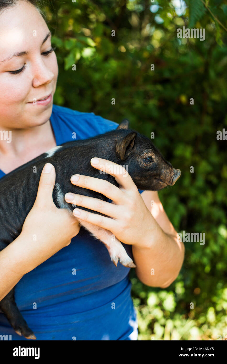 Young woman holding Heritage Cinta Piglet Stock Photo - Alamy