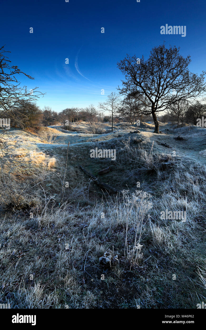 Winter frosty dawn, Barnack Hills N Holes, SSSI, Barnack village ...