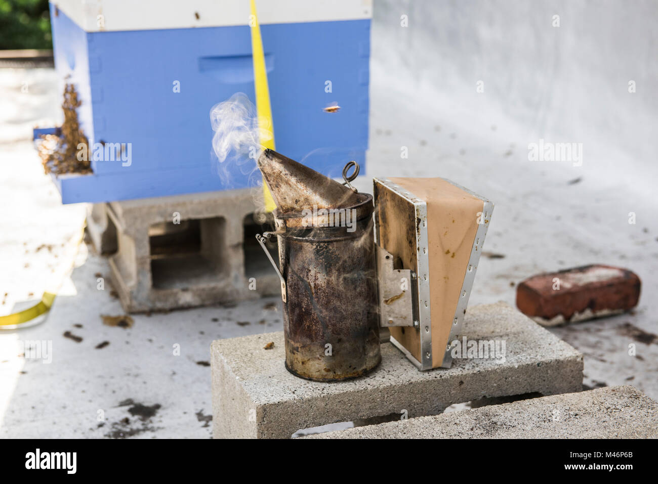 Behive smoker with urban beehive box on rooftop Stock Photo - Alamy