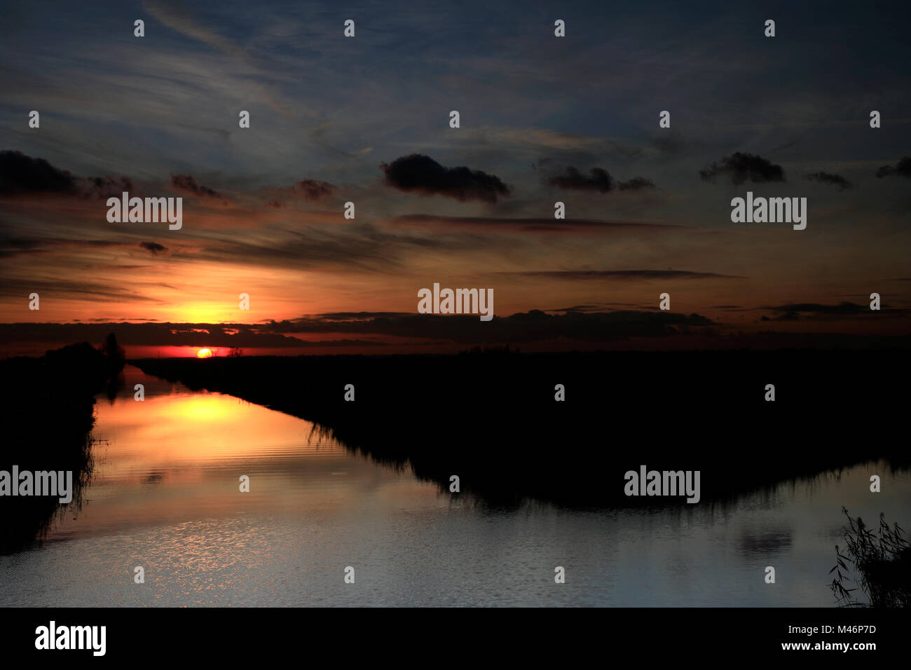 Fenland reeds hi-res stock photography and images - Alamy