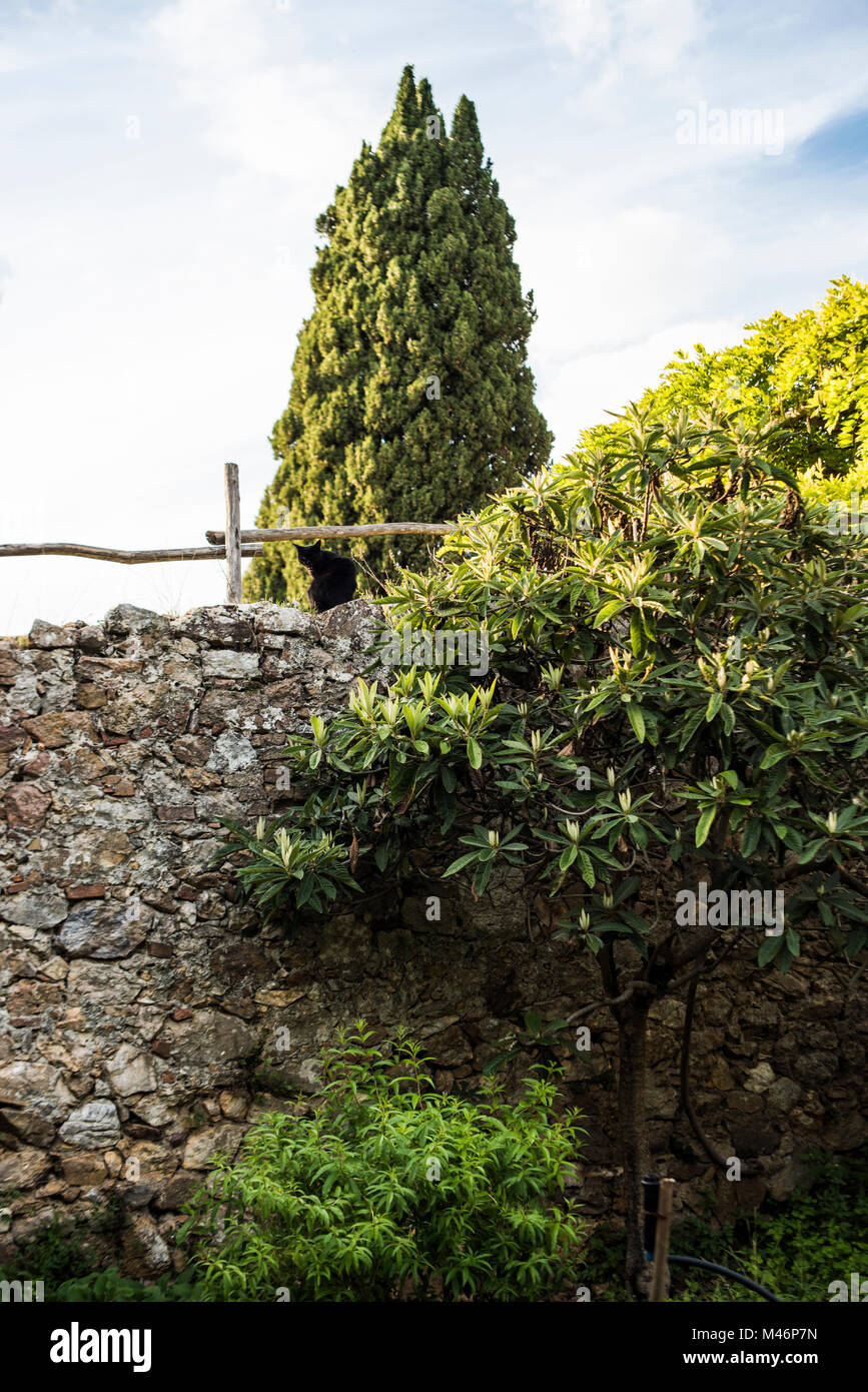 Italian stone wall landscape hi-res stock photography and images - Alamy