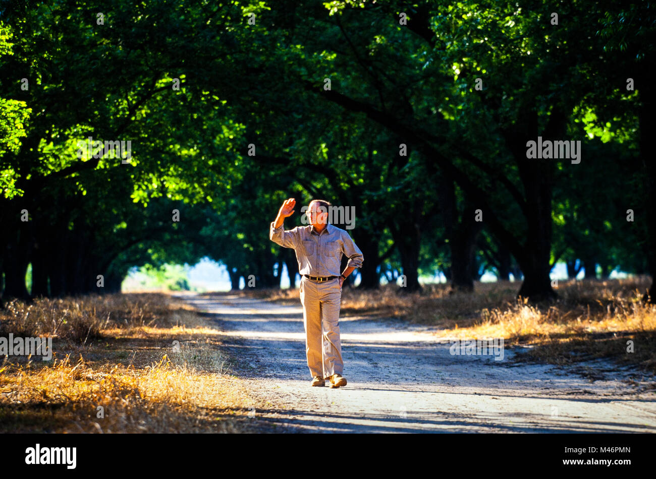 U.S. Senator Sam Nunn walks his family's tree farm in Perry, Georgia ...