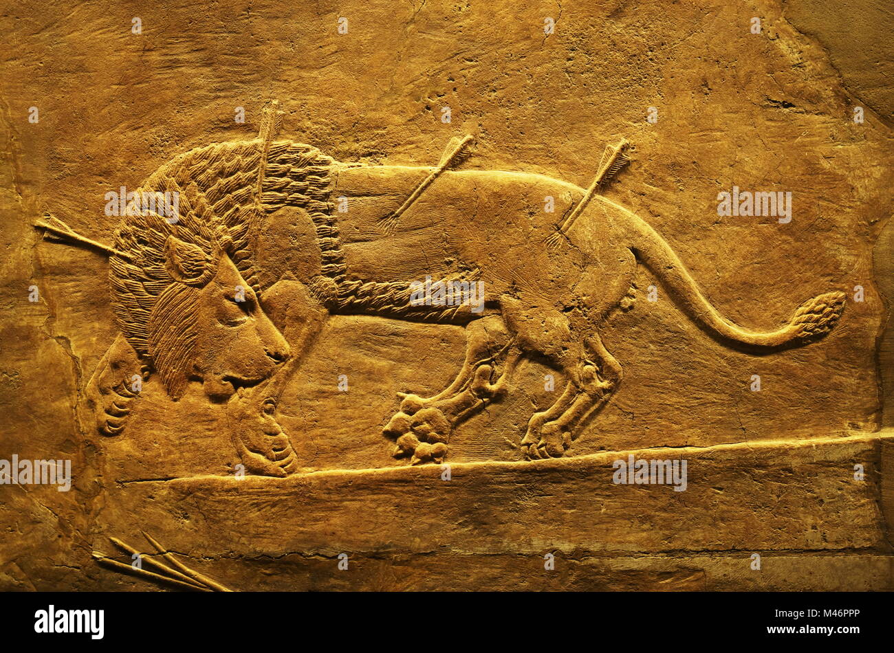 Assyrian lion hunt reliefs hi-res stock photography and images - Alamy