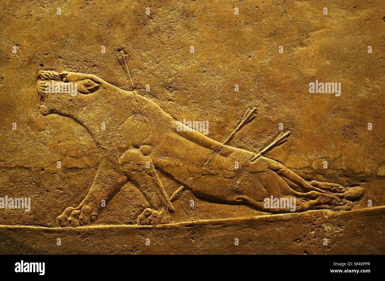 Assyrian wall art relief of Lion hunting scene at the British Museum ...