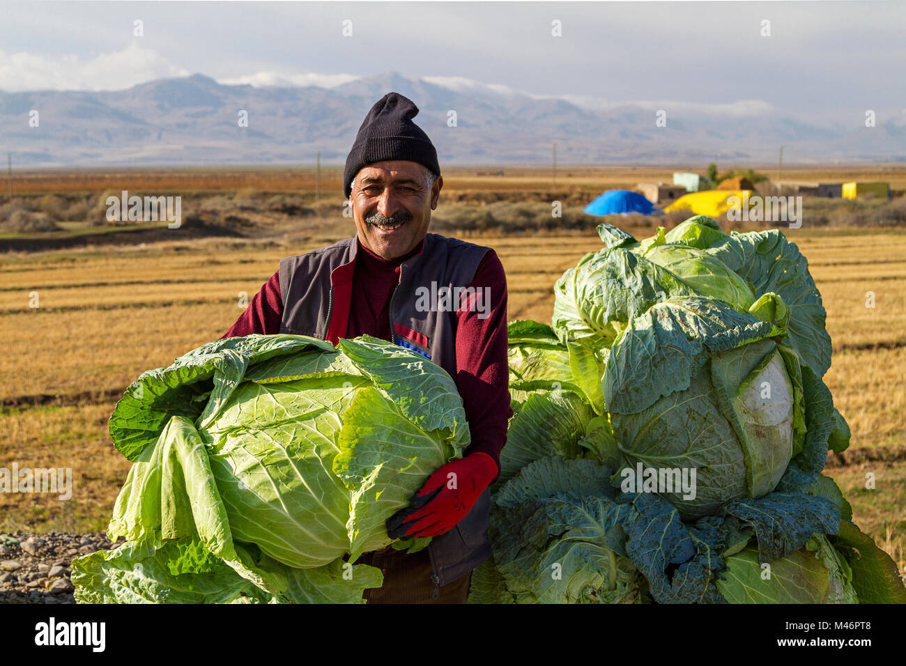 Agricultural products hi-res stock photography and images - Alamy