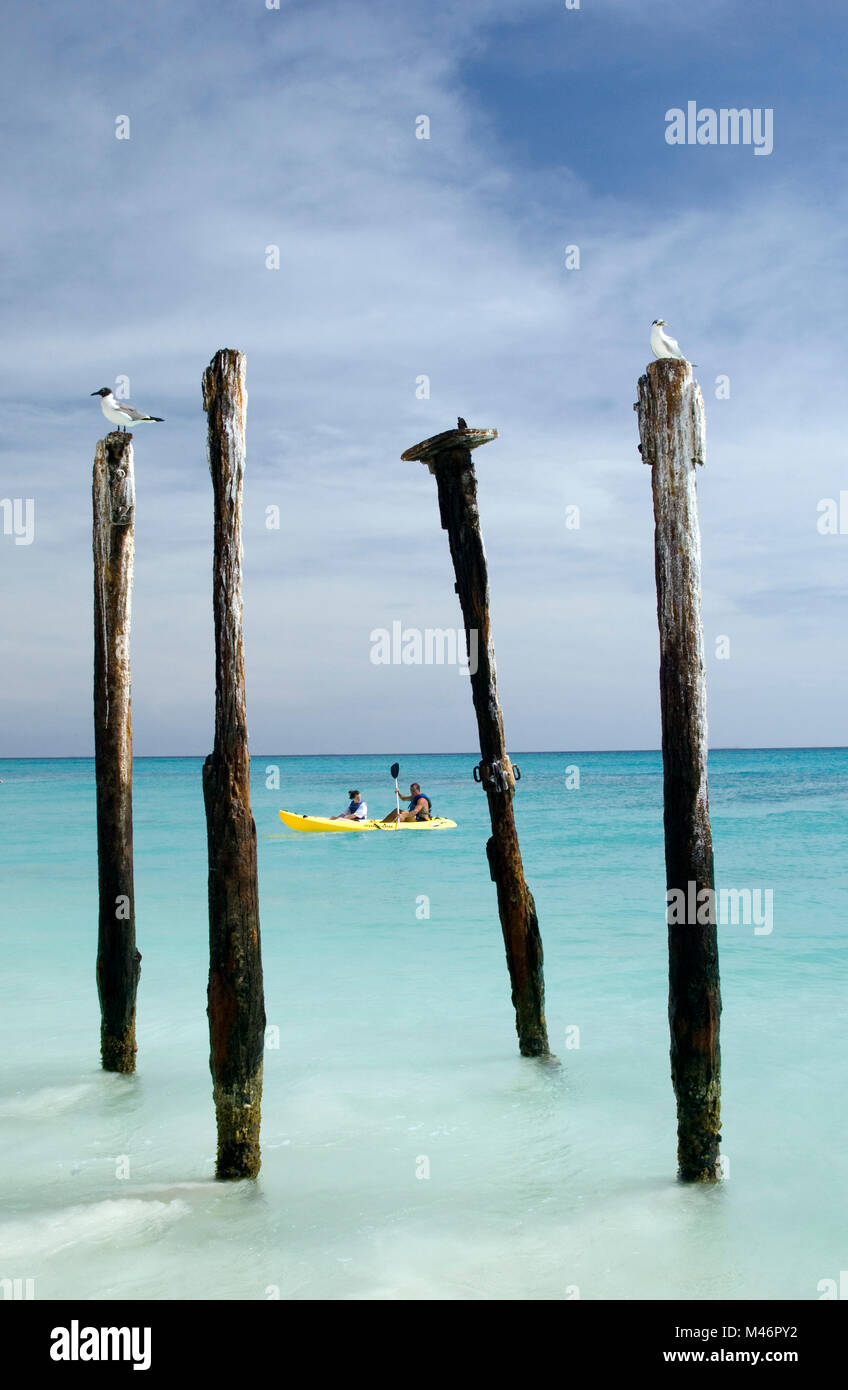 Two people paddling in a yellow kayak on the Caribbean ocean behind a ...
