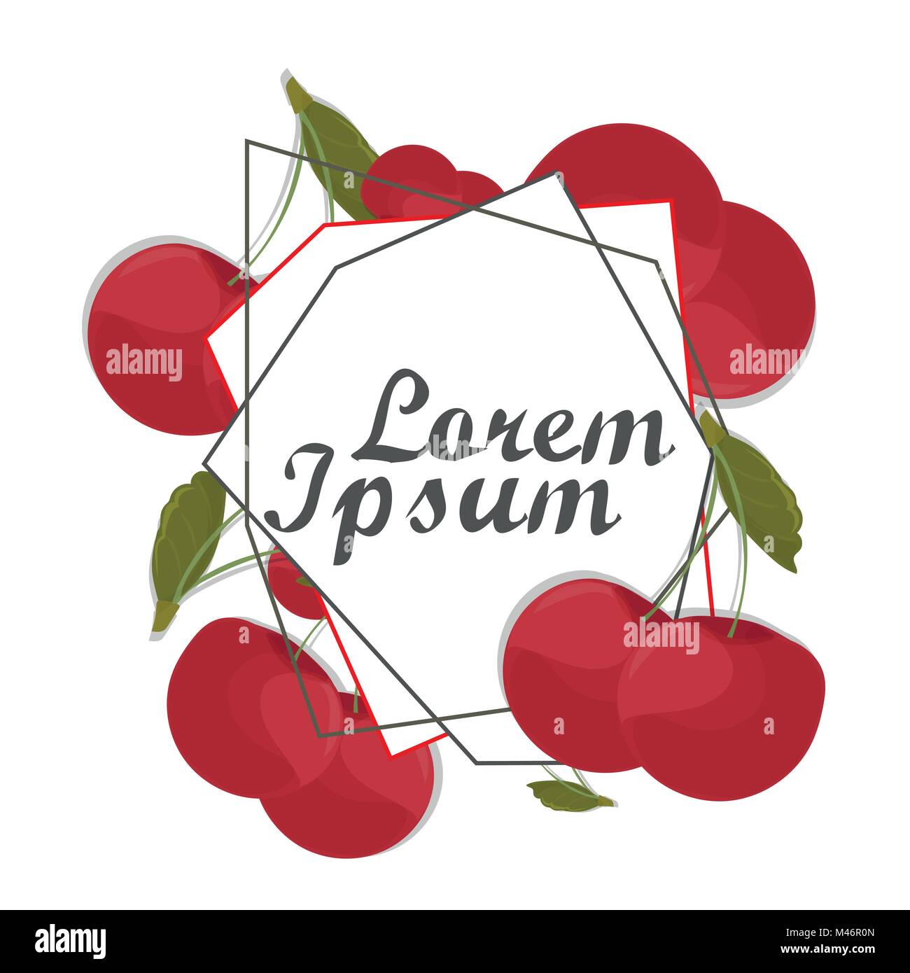 Red cherry card, frame. Engraving, drawing fruits. Vintage vector ...