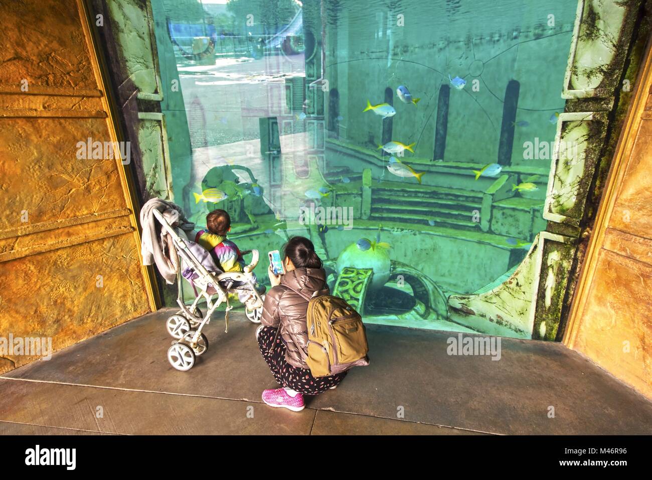 San diego seaworld tank hi-res stock photography and images - Alamy