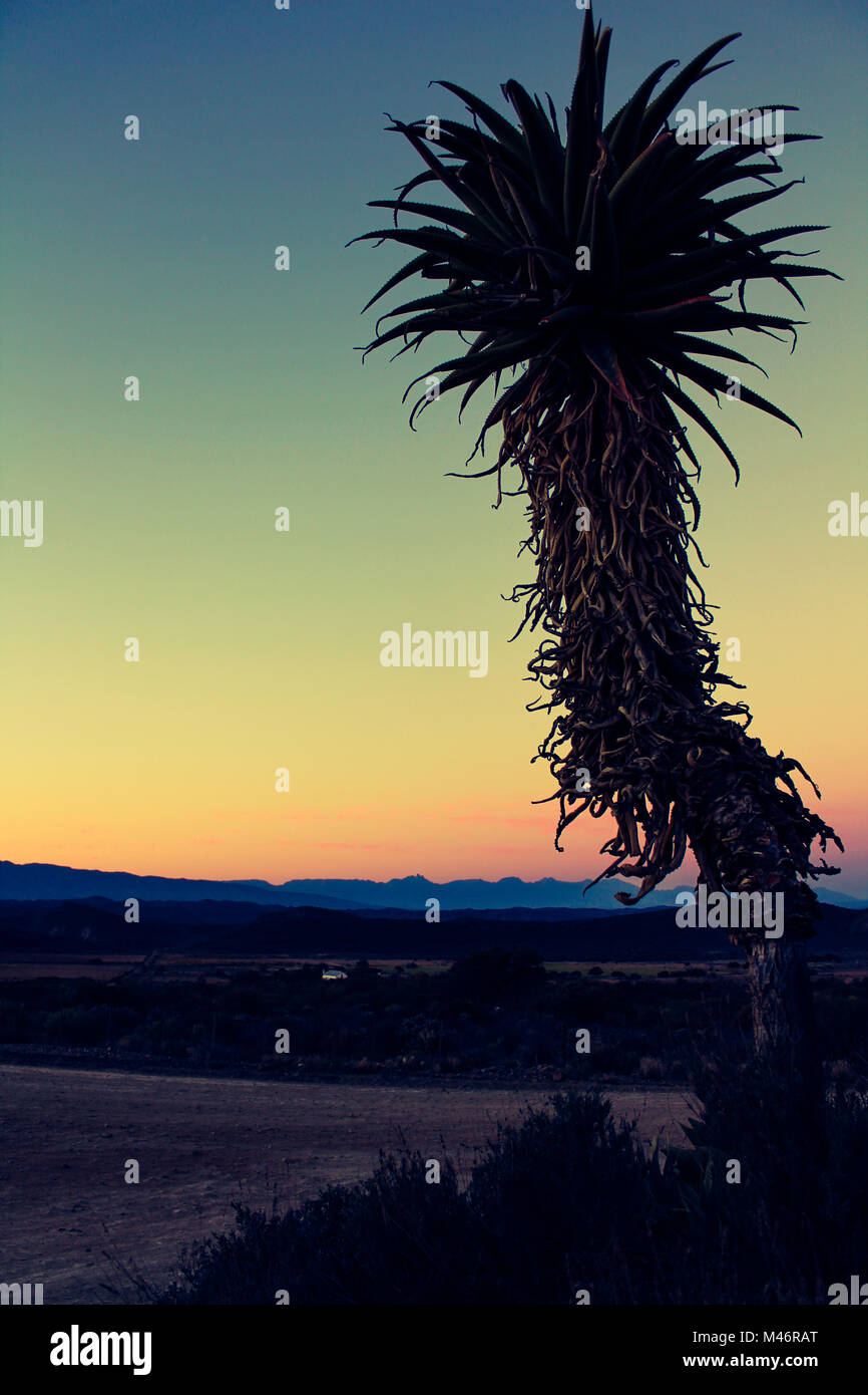 Karoo Mountains Stock Photos & Karoo Mountains Stock Images - Alamy