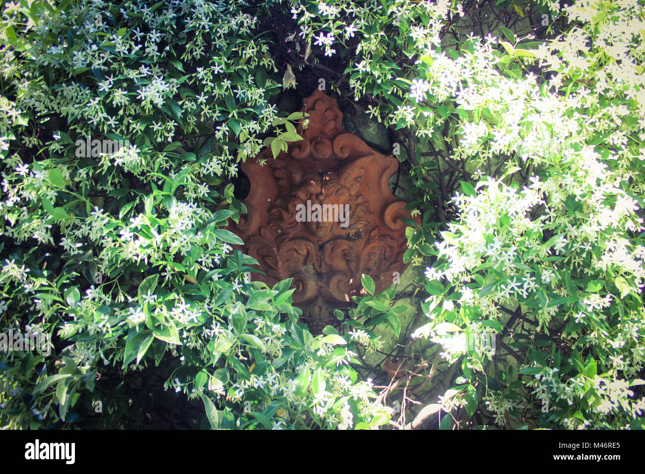 Stellenberg gardens hi-res stock photography and images - Alamy