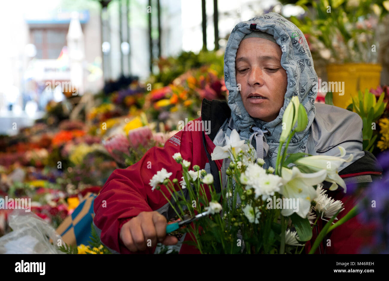 Flower Shops In Cape Town South Africa at Victor Lopez blog