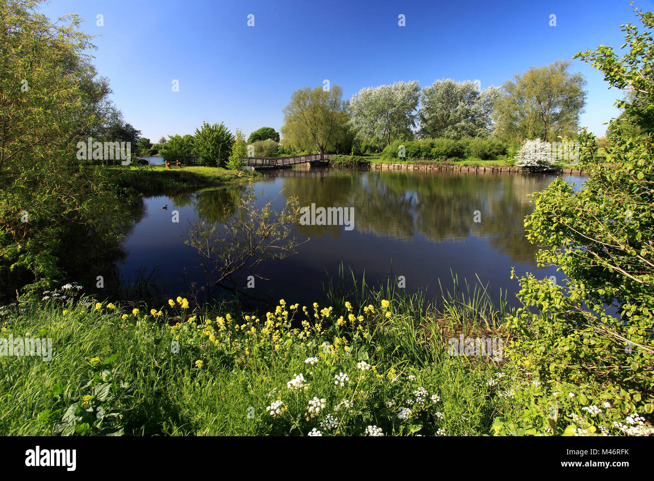 Summer view over Ferry Meadows country park, Peterborough ...