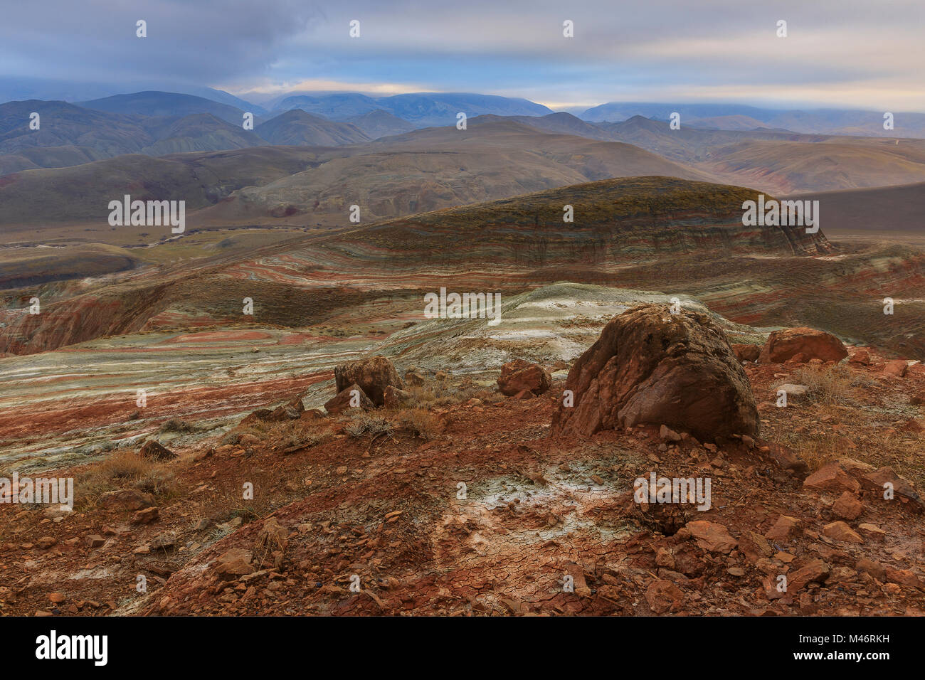 Multi terrain pattern hi-res stock photography and images - Alamy